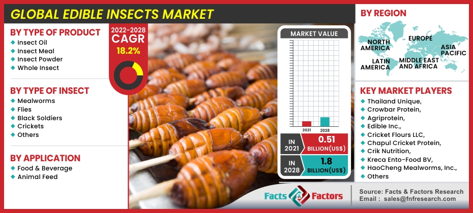 Edible Insects Market Trend and Growth Research Report 2022-2028 Global ...